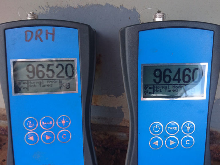 Deck Crane Load Test | Fortune Ship | Dynamic Rigging